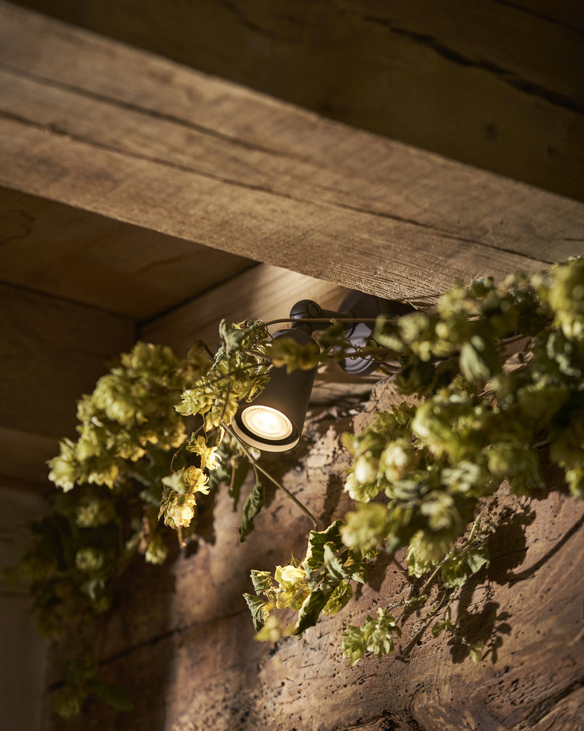 Baylis 35mm Single Ceiling Spotlight | Bronze | Lighting