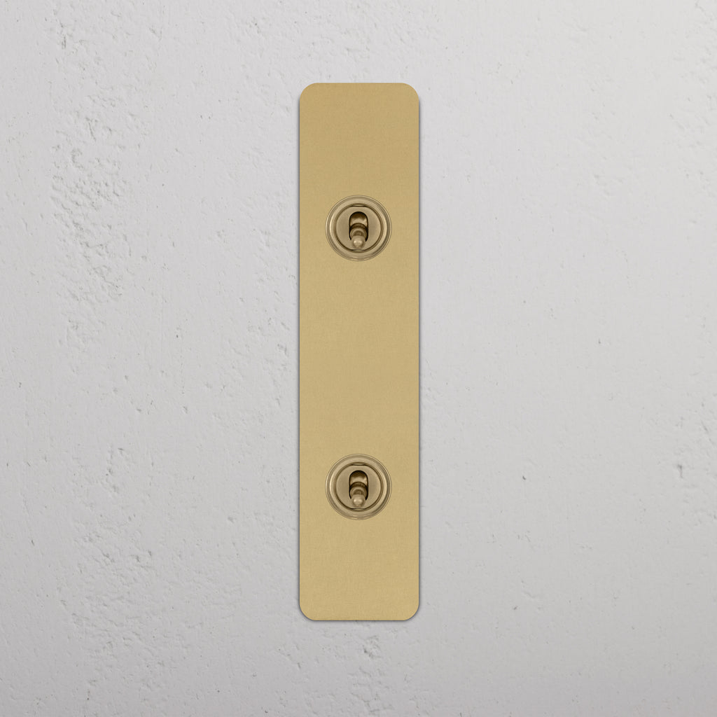 BT Master Socket | Antique Brass Black – Corston